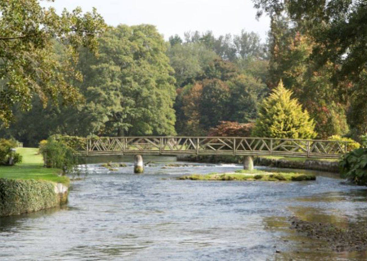 Rainbow Trout | Buy Singpore's Best Rainbow Trout – Sasha's Fine Foods