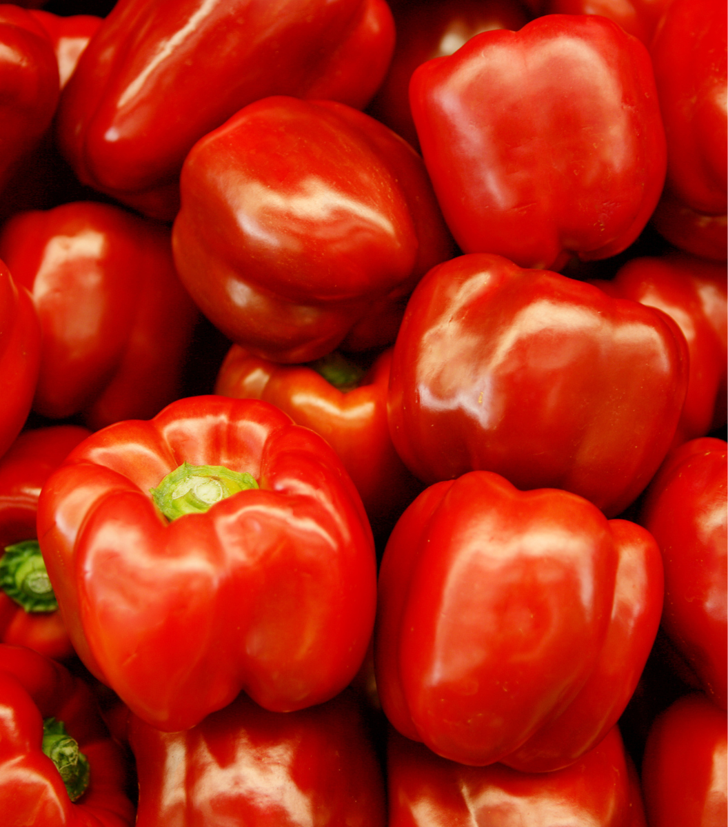 Fresh Red Capsicum | Trusted Online Grocer In Singapore – Sasha's Fine ...